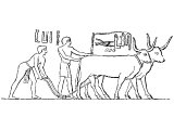 Life in Bible Times - Agriculture: